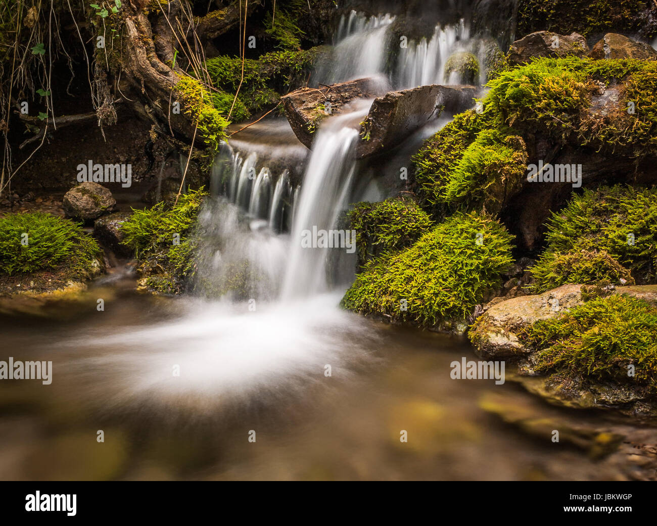 little waterfall in the forest Stock Photo - Alamy