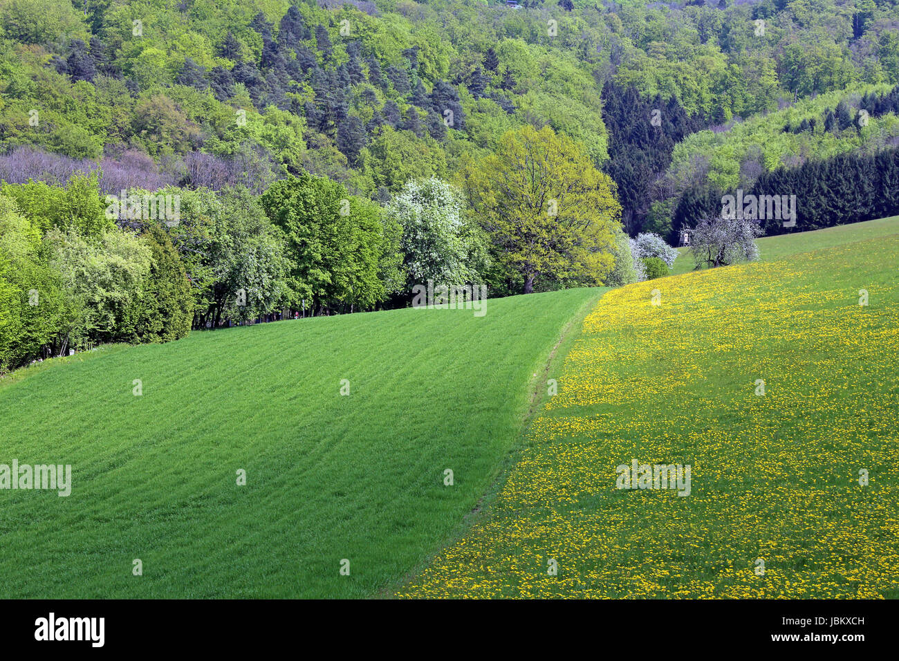 Border borderline country hi-res stock photography and images - Alamy