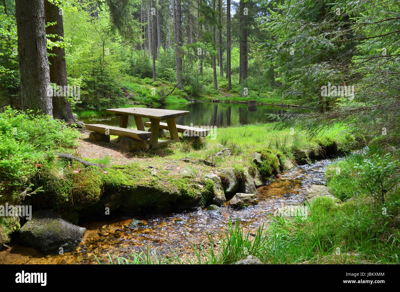 Wald Bach Pflanzen Stock Photo - Alamy