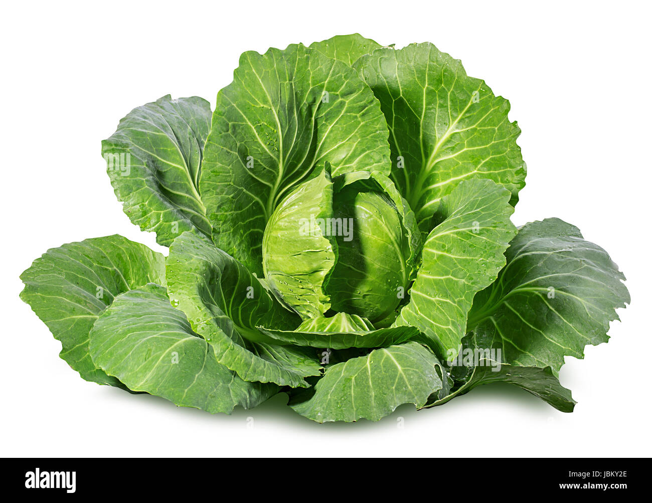 Green cabbage isolated on white background Stock Photo - Alamy