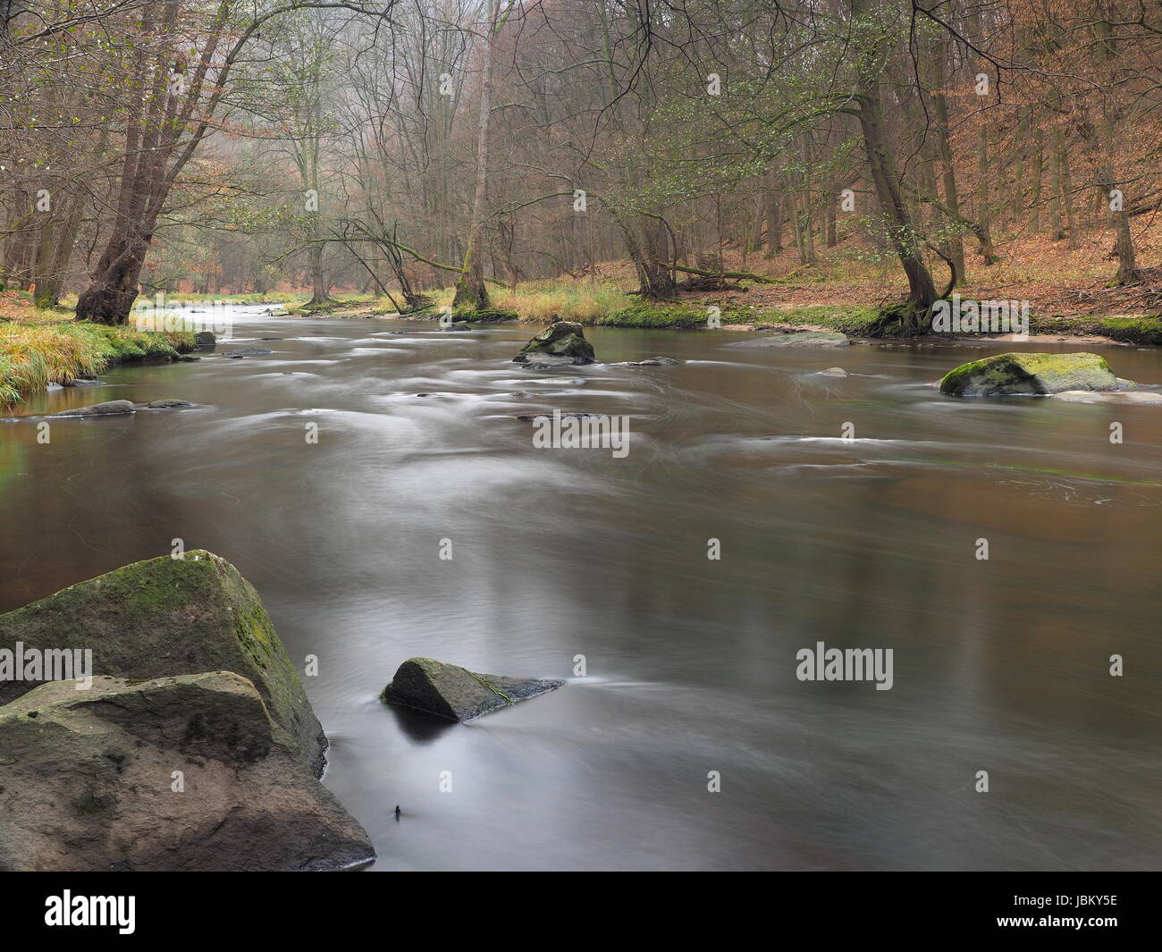 Thaya river national park thayatal hi-res stock photography and images ...