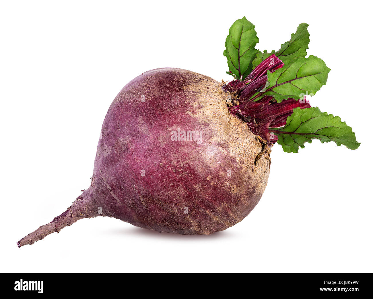 Beetroot with leaves isolated on white Stock Photo - Alamy