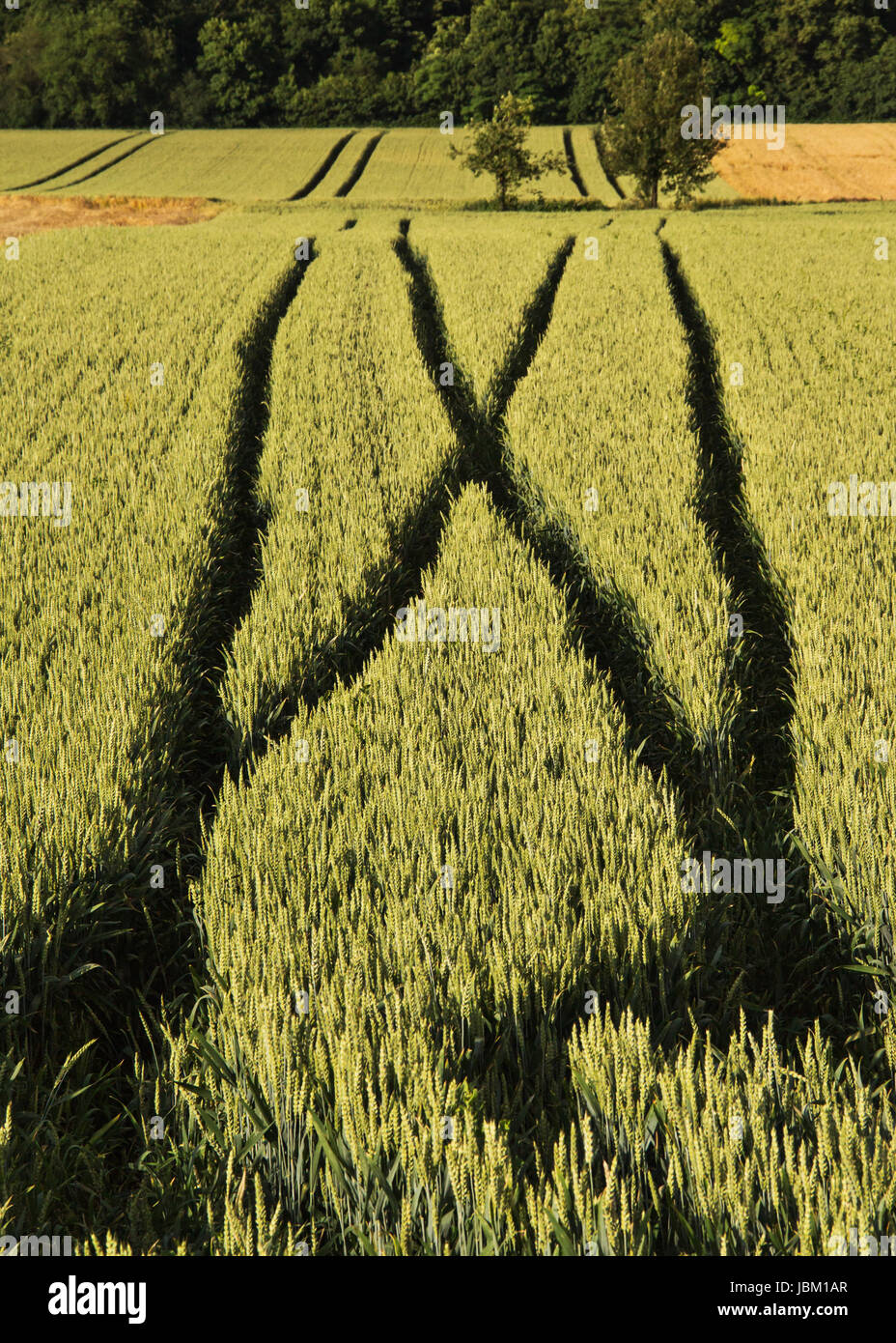 tracks in the field Stock Photo - Alamy