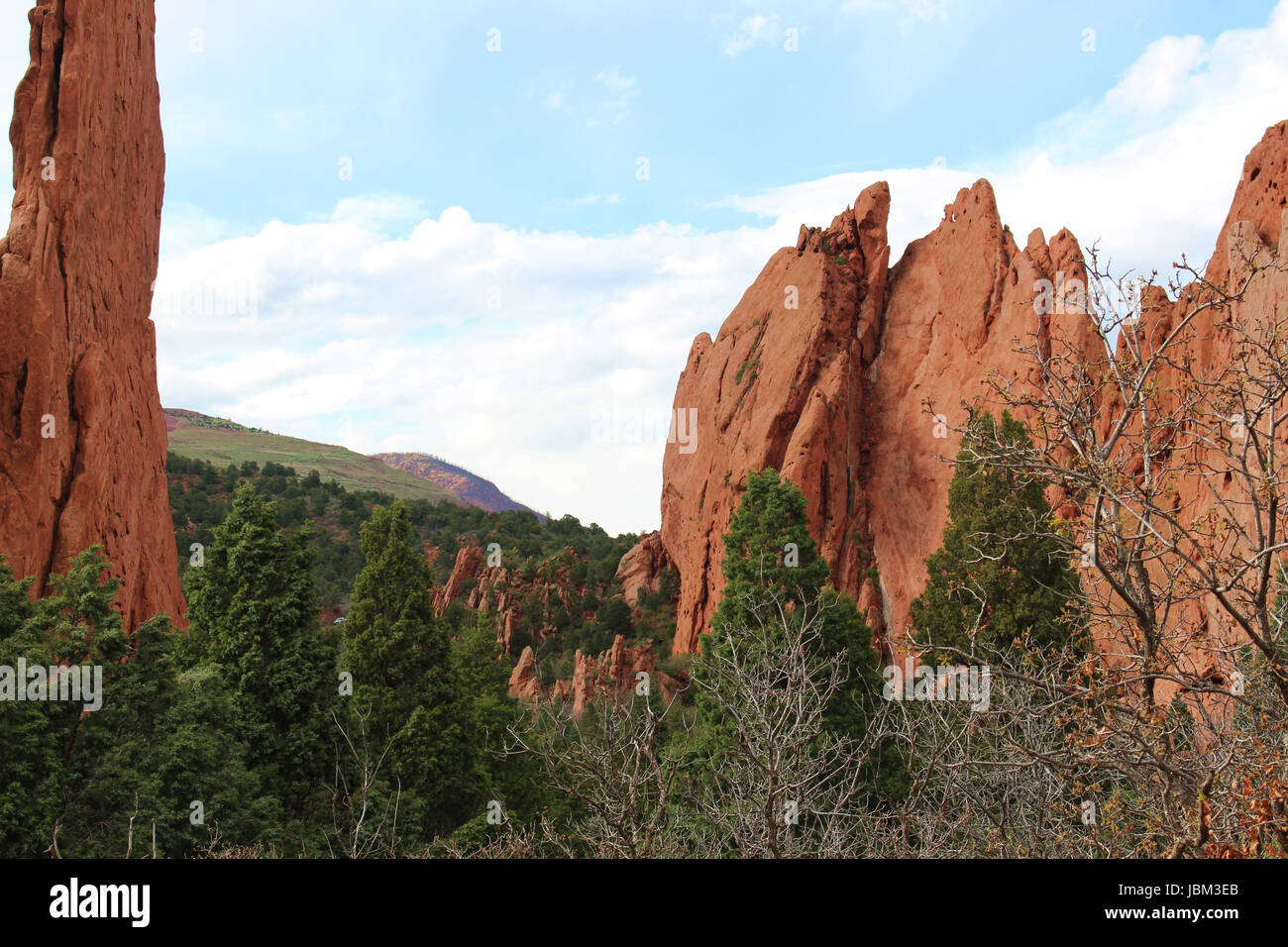 Sweeping landscape view of red rock pinnacles with pine trees while ...