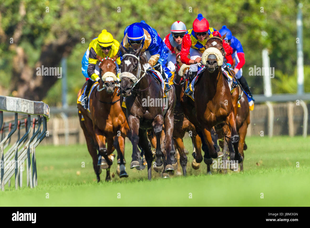 Horse racing track africa hi-res stock photography and images - Alamy