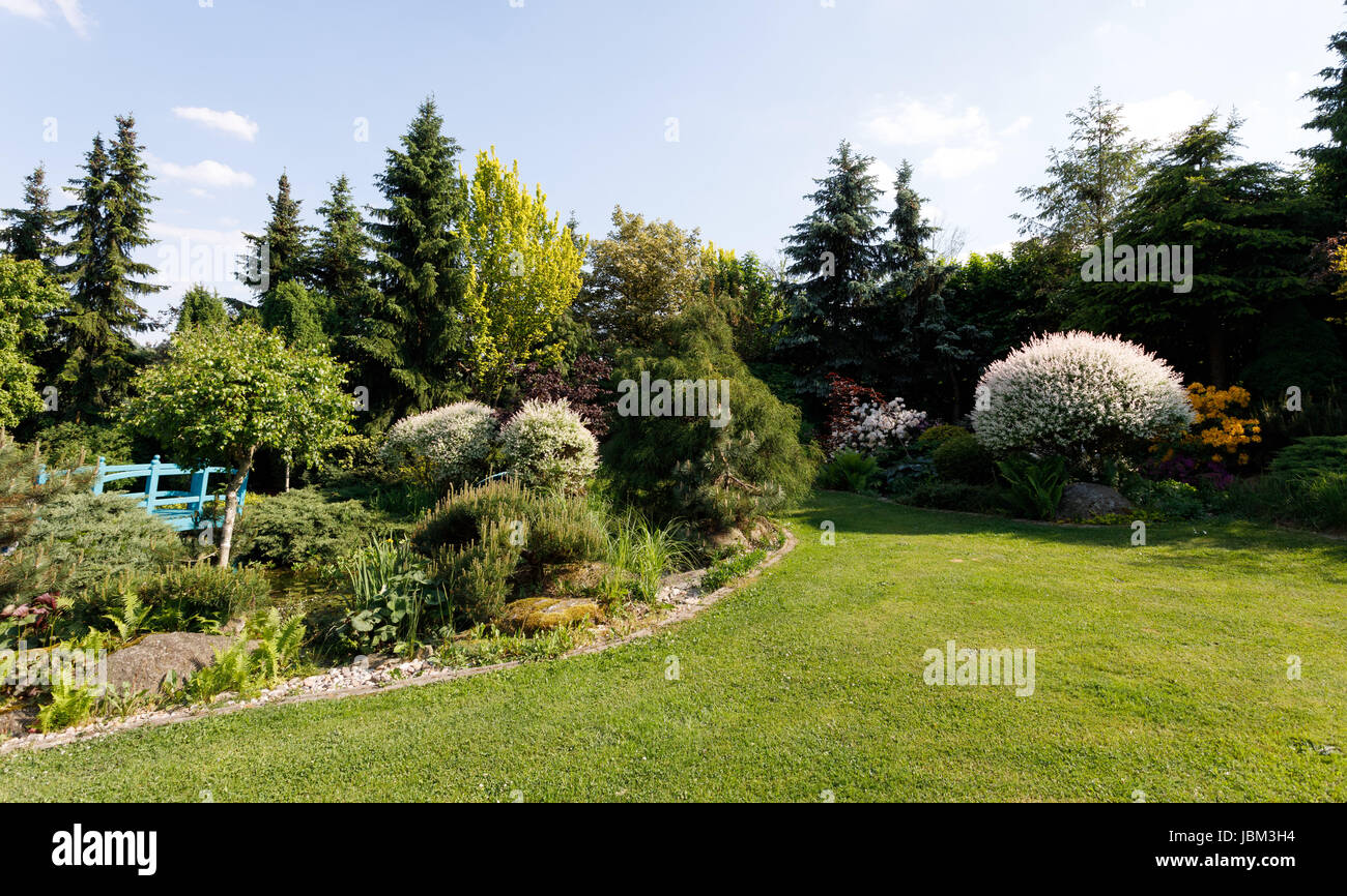 Colorful spring garden in evening sunlight. Spring gardening concept ...
