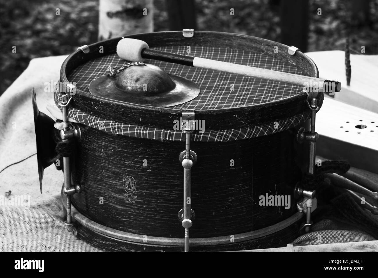 Collection old musical instruments Black and White Stock Photos ...