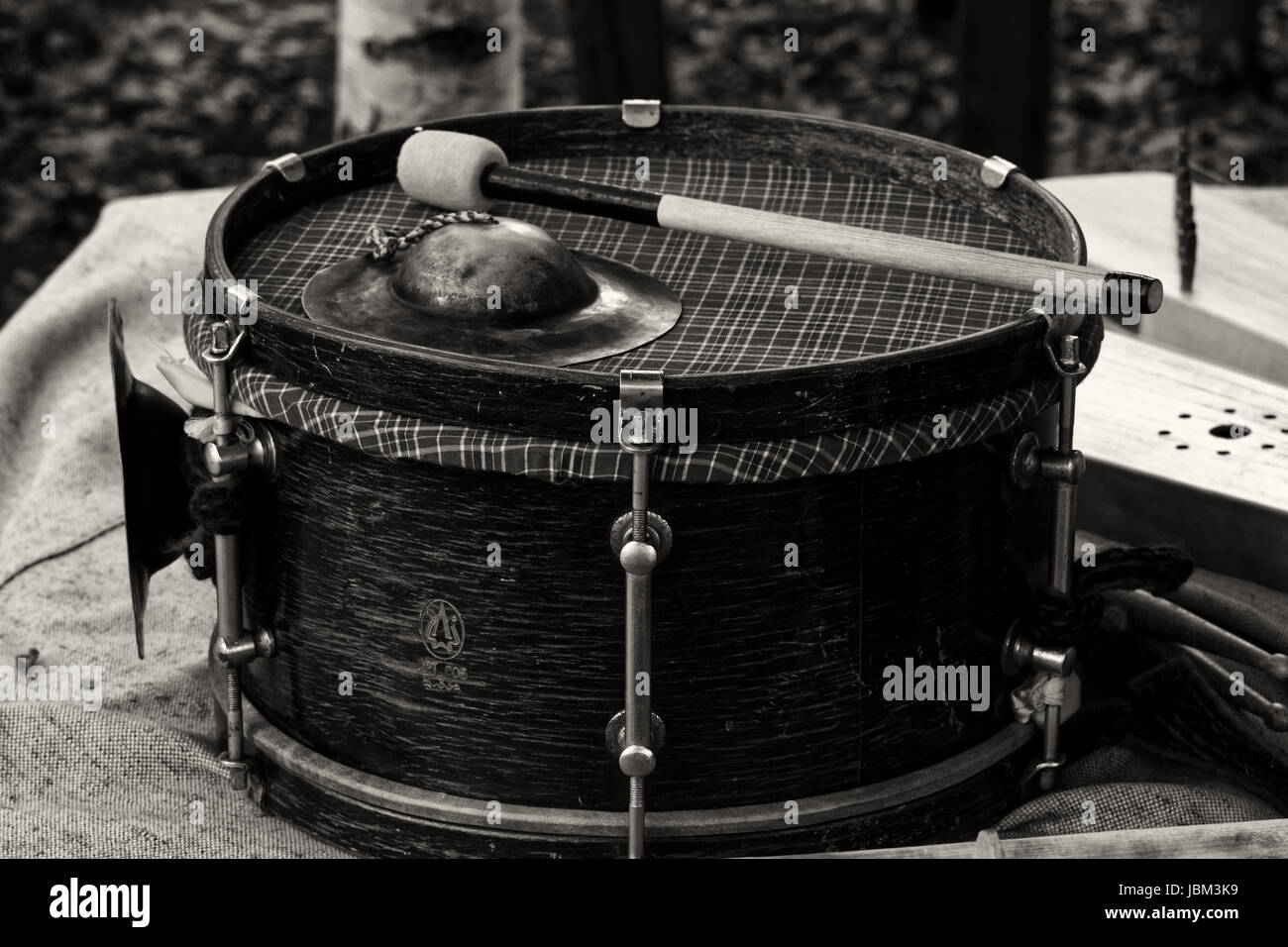Old traditional stringed instruments hi-res stock photography and ...