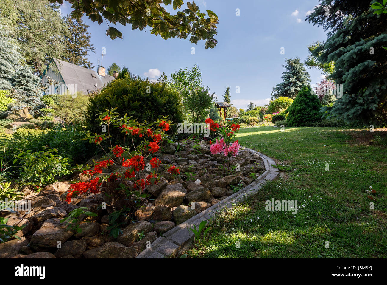 Colorful spring garden in evening sunlight. Spring gardening concept ...
