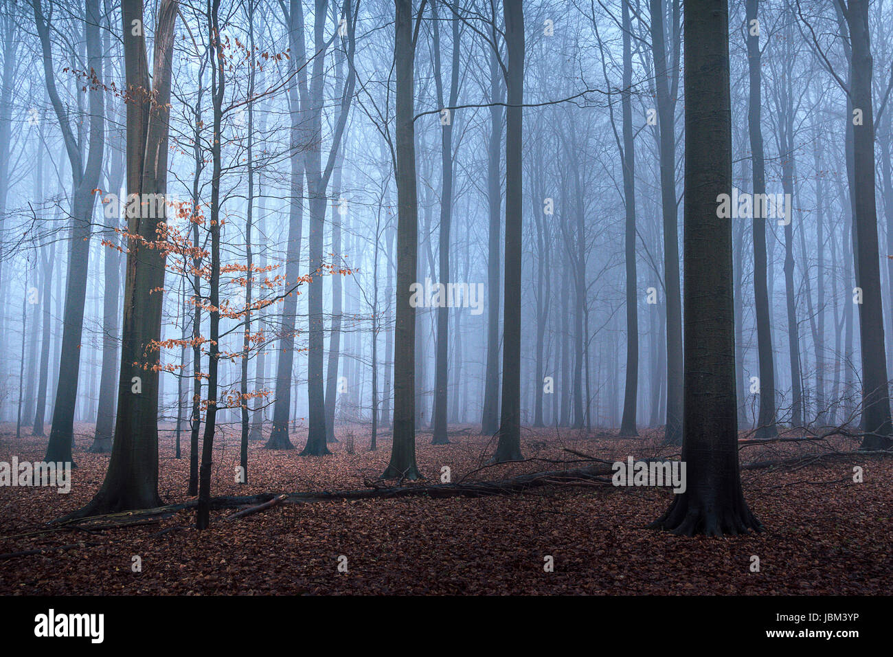 Denmark naestved hi-res stock photography and images - Alamy