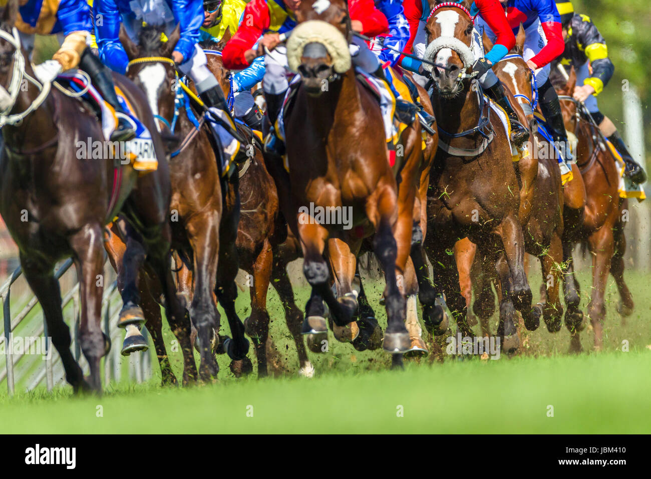 Horse racing animals jockey's track action photo Stock Photo - Alamy