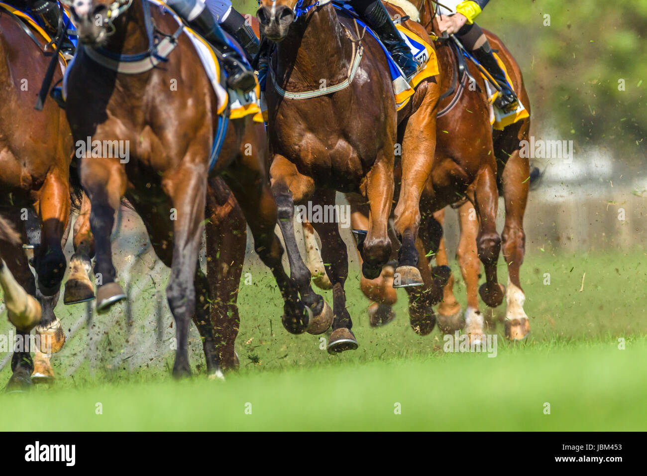 Horse racing action hi-res stock photography and images - Alamy