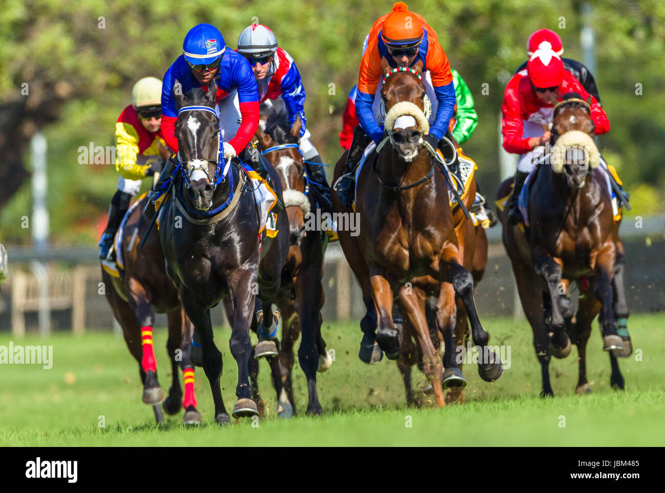Horse racing track africa hi-res stock photography and images - Alamy