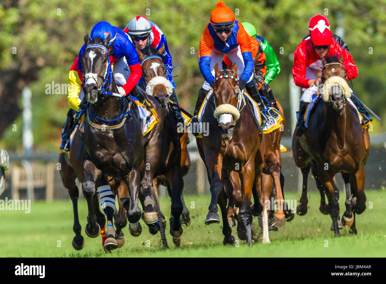 Horse racing track africa hi-res stock photography and images - Alamy