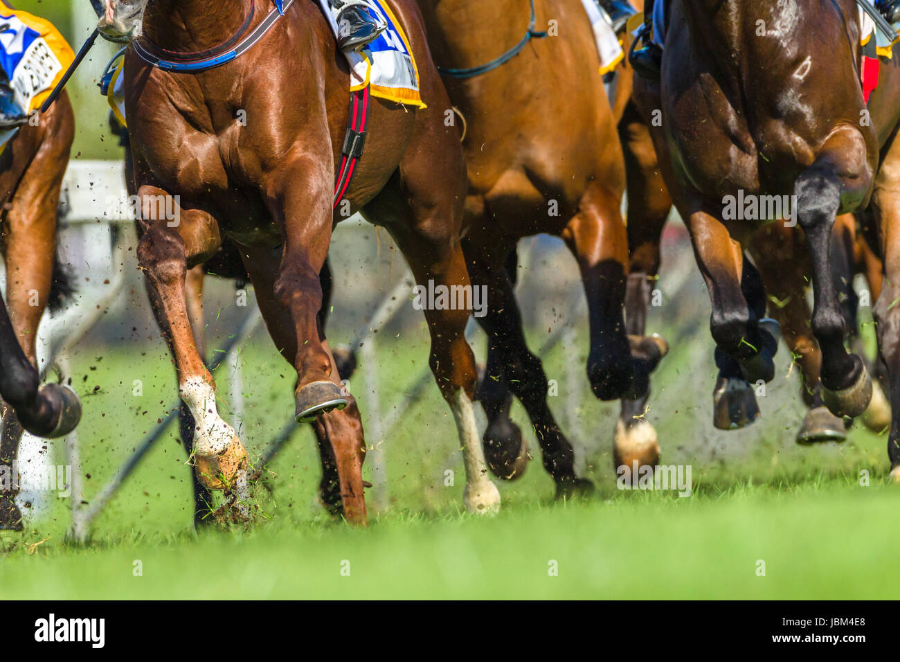 Horse racing animals jockey's track action photo Stock Photo - Alamy