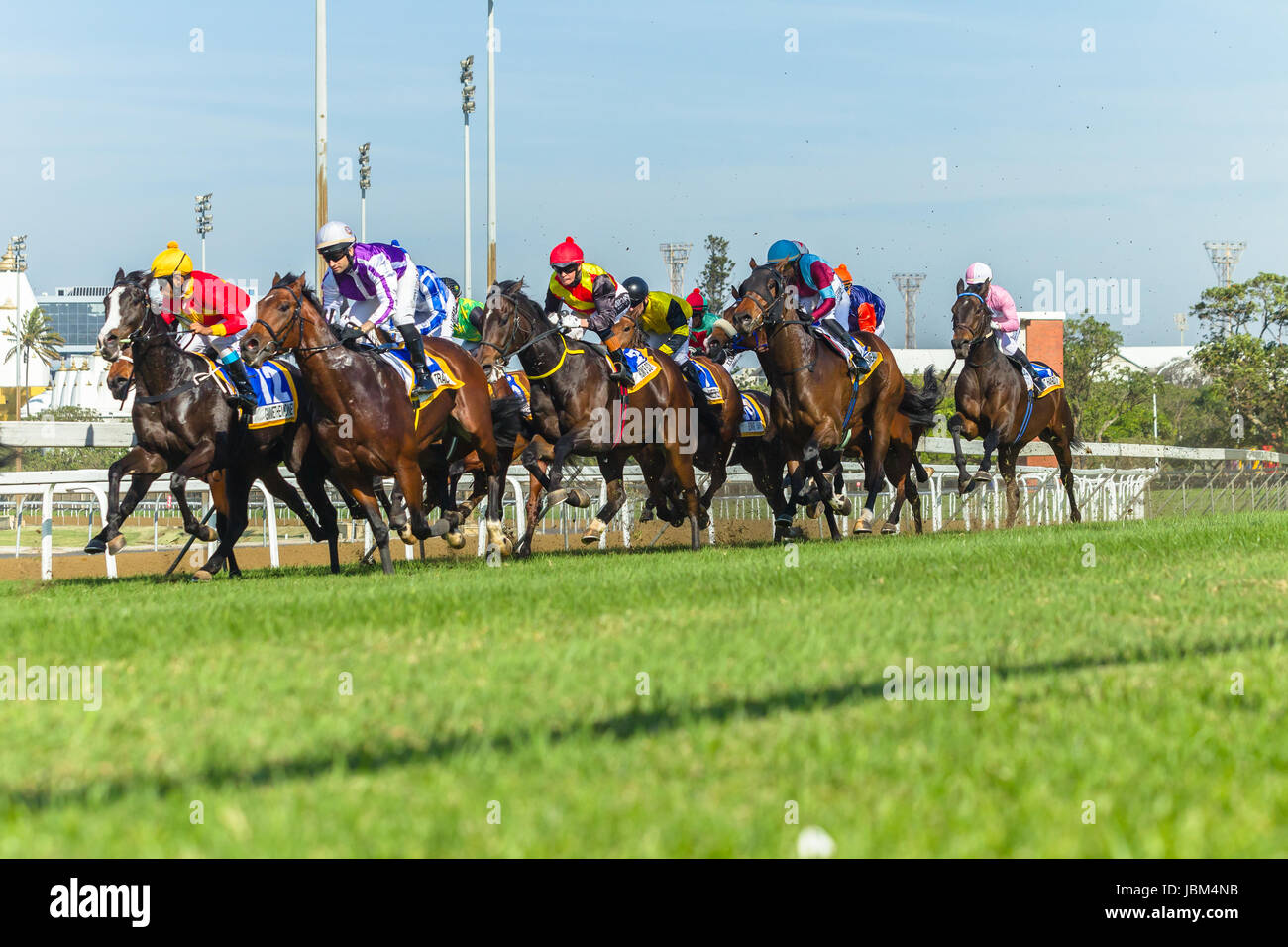 Horse racing track africa hi-res stock photography and images - Alamy
