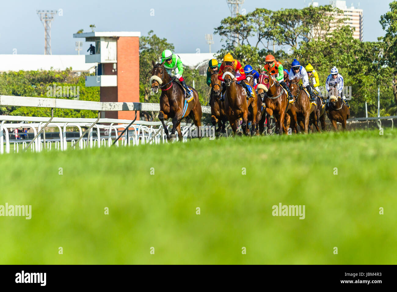 Horse racing track africa hi-res stock photography and images - Alamy