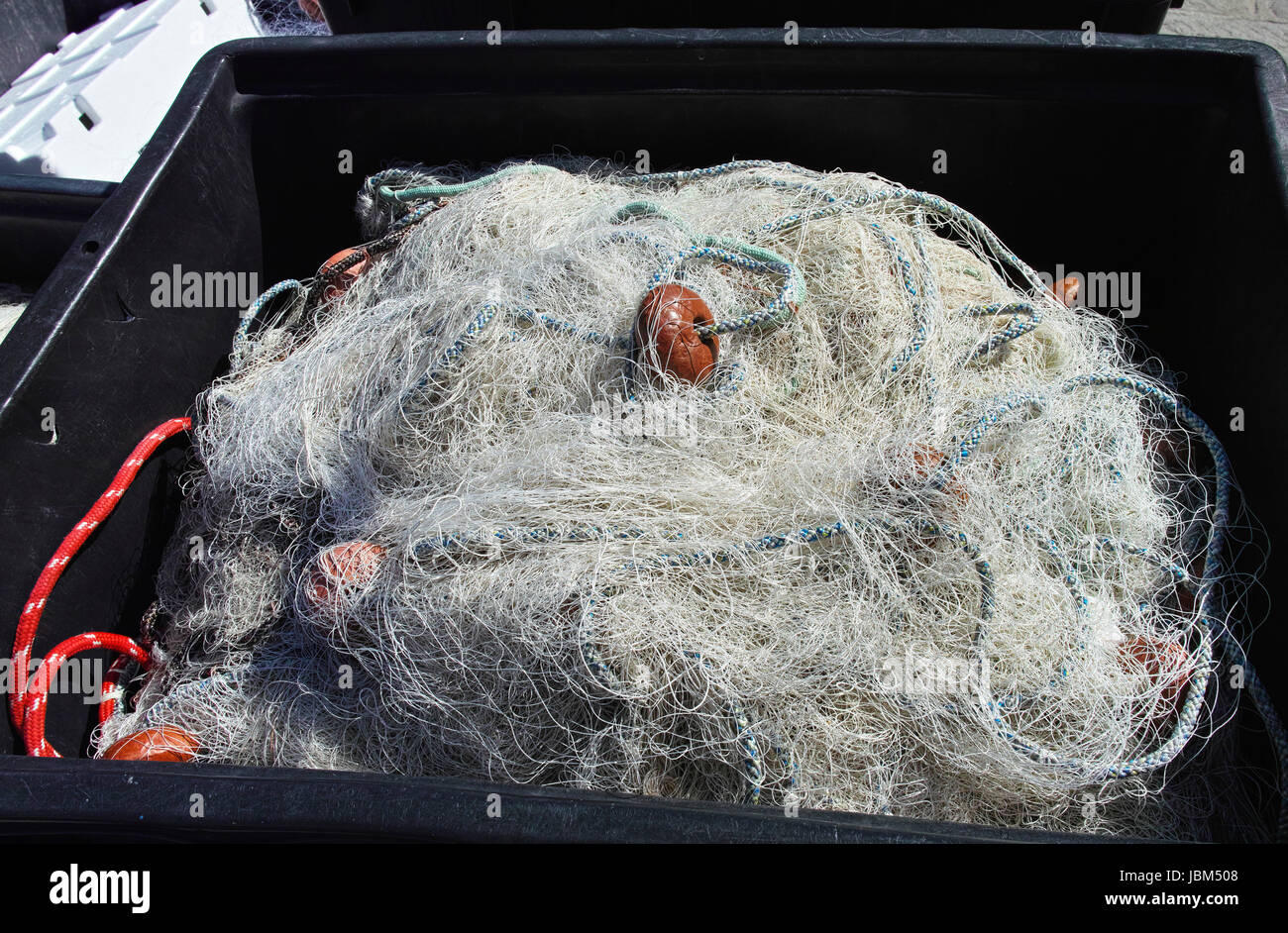 Fish inside commercial fishing net hi-res stock photography and images ...