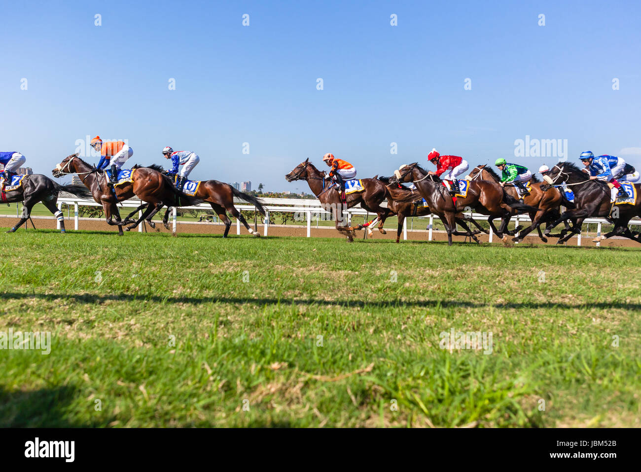 Horse racing track africa hi-res stock photography and images - Alamy