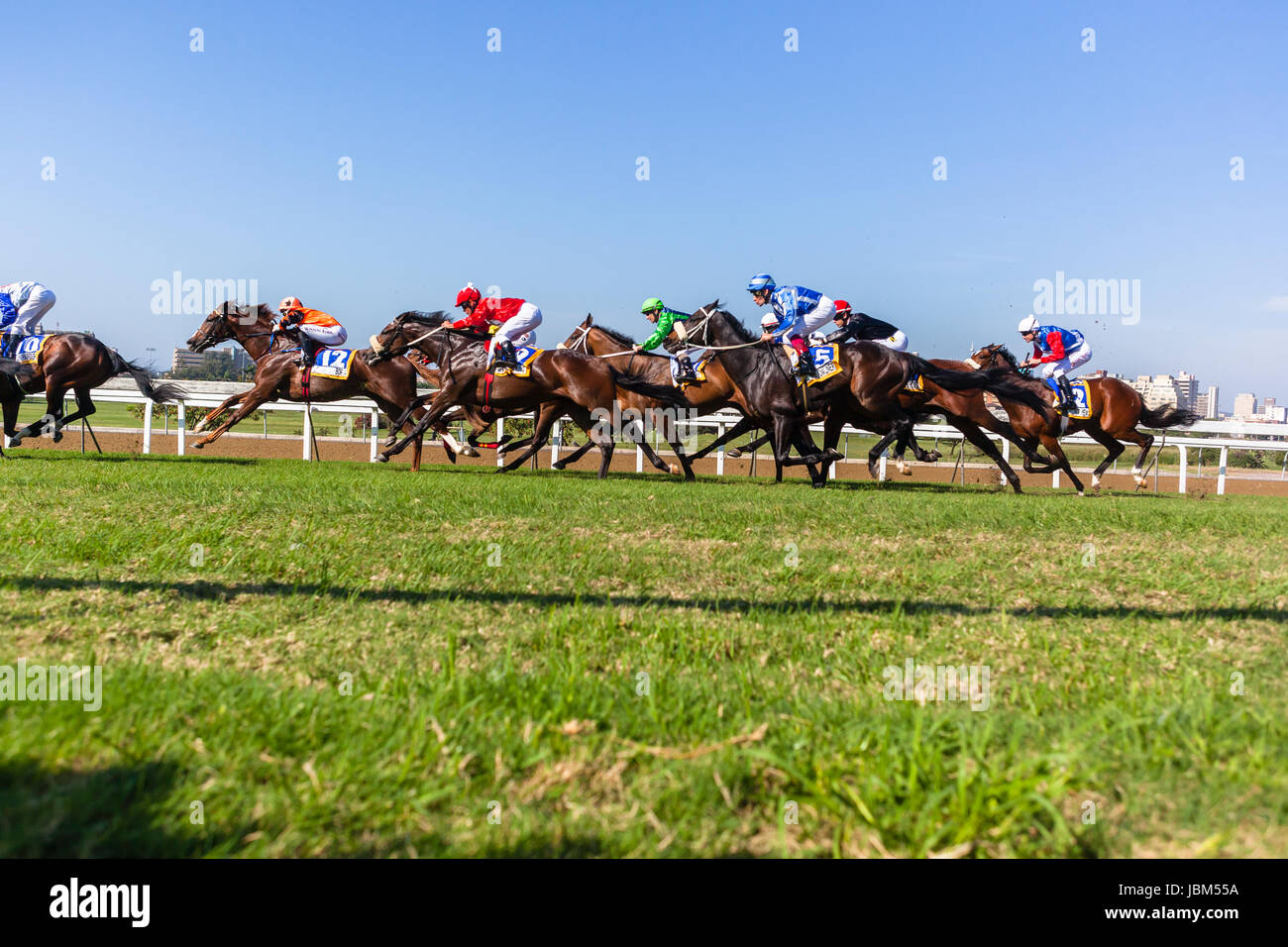 Horse racing animals jockey's closeup track action photo Stock Photo ...