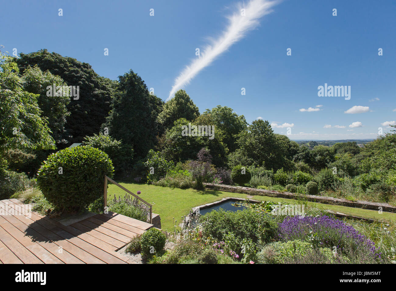 Summer green tree hi-res stock photography and images - Alamy