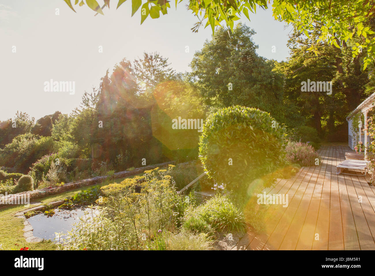 Green and sunny garden hi-res stock photography and images - Alamy