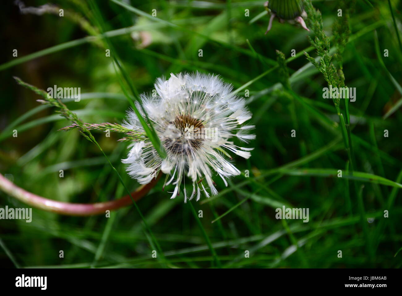 Puste hi-res stock photography and images - Alamy