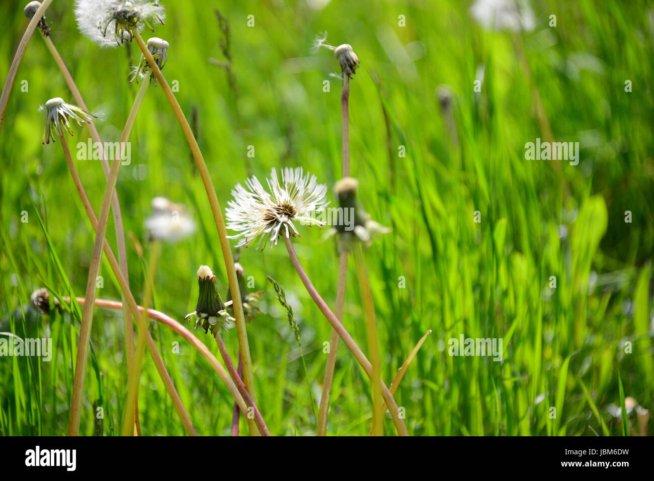 Puste hi-res stock photography and images - Alamy