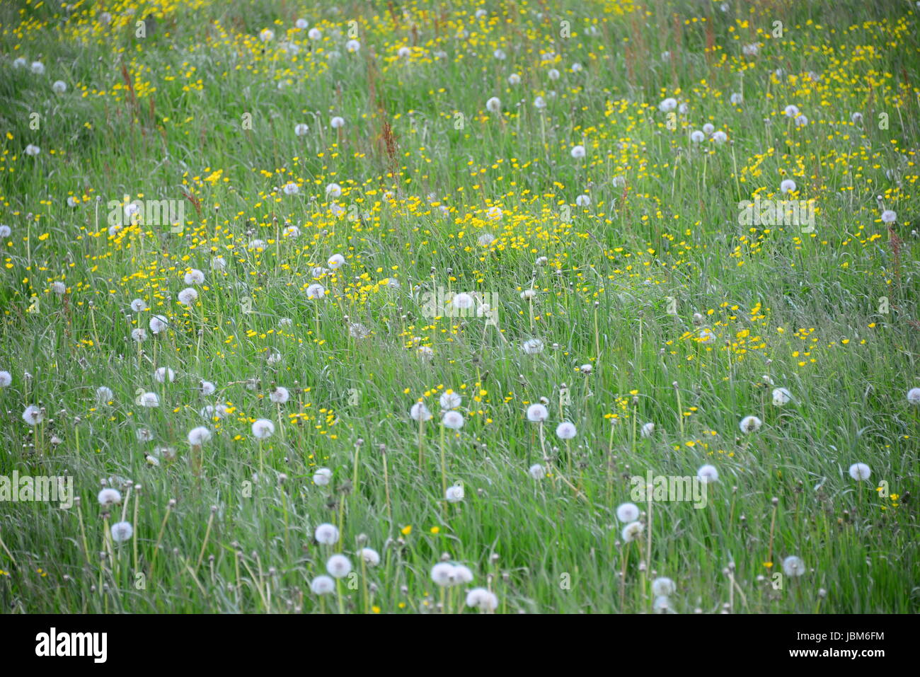 Puste hi-res stock photography and images - Alamy