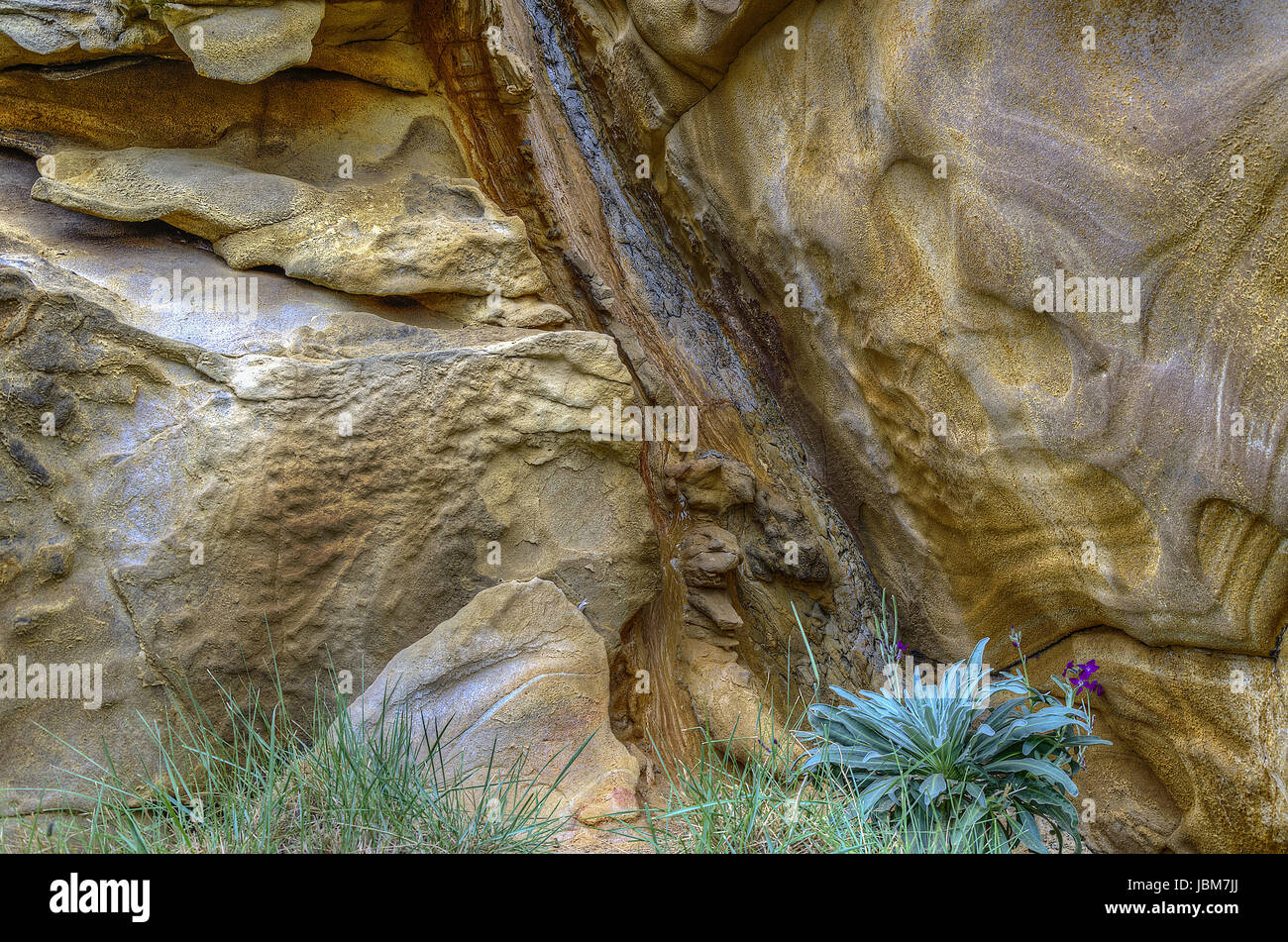 Very detailet rock texture in the forest. With great colors and the ...