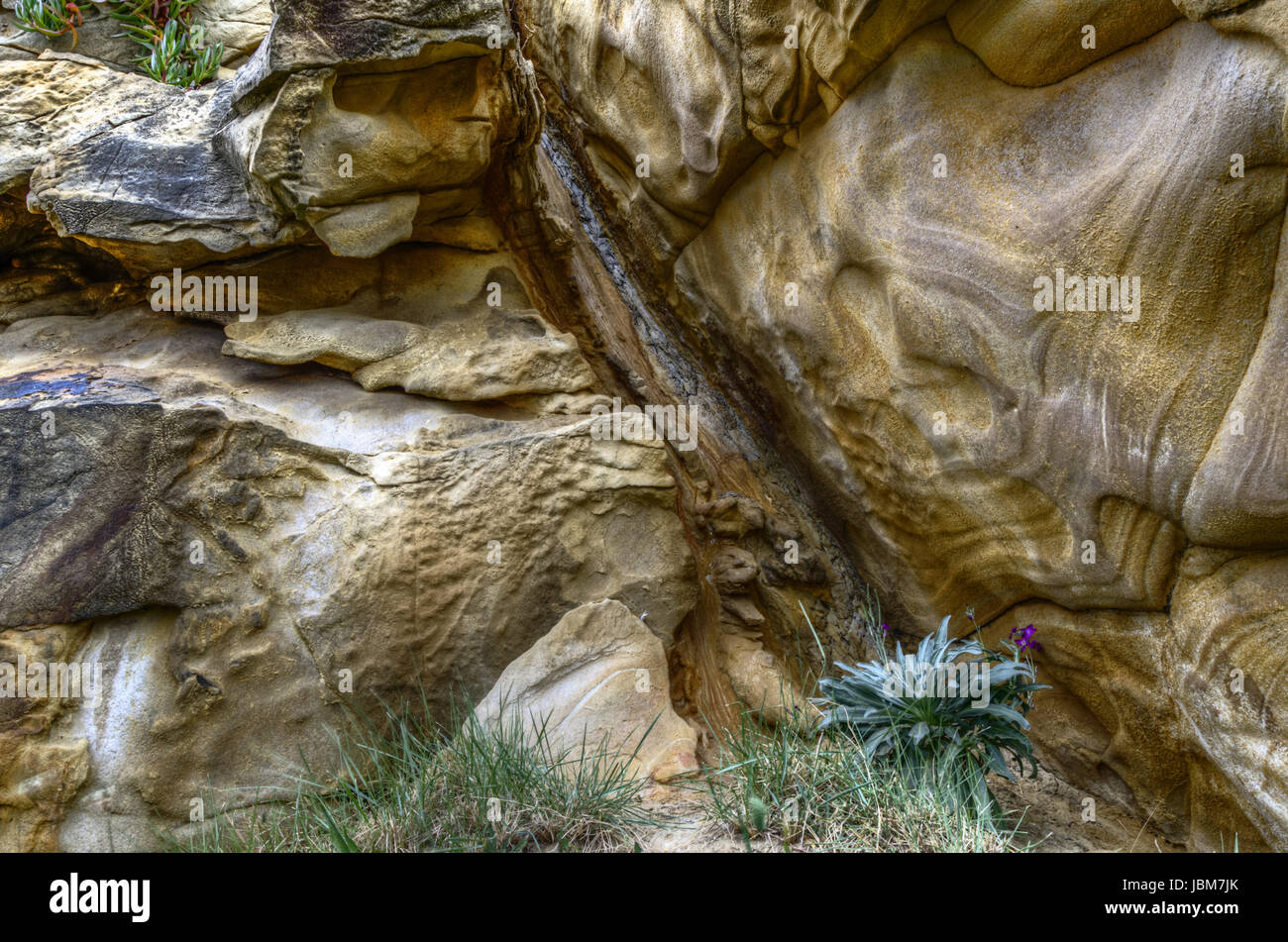 Very detailet rock texture in the forest. With great colors and the ...