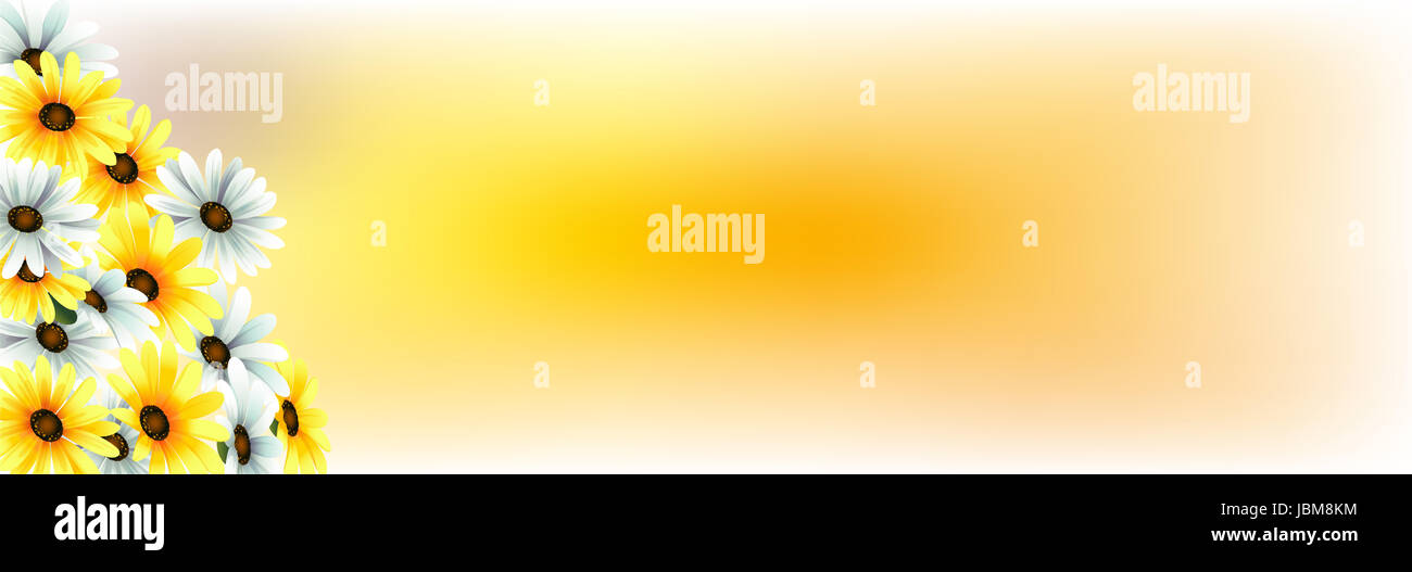 Spring and summer flowers on seasonal background Stock Photo - Alamy