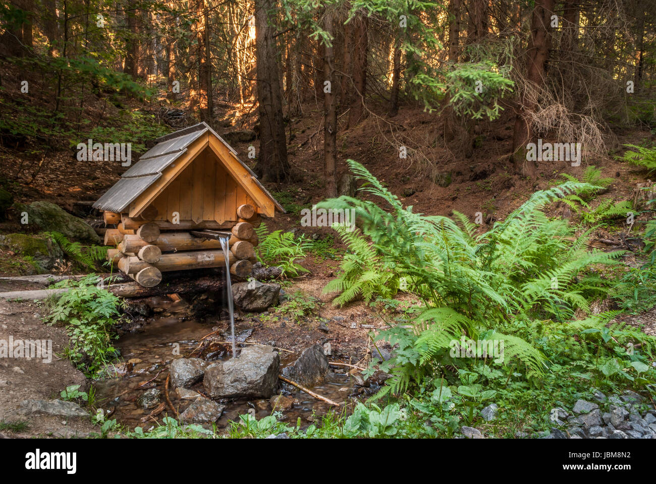 water refreshments for hiking in the forest Stock Photo - Alamy