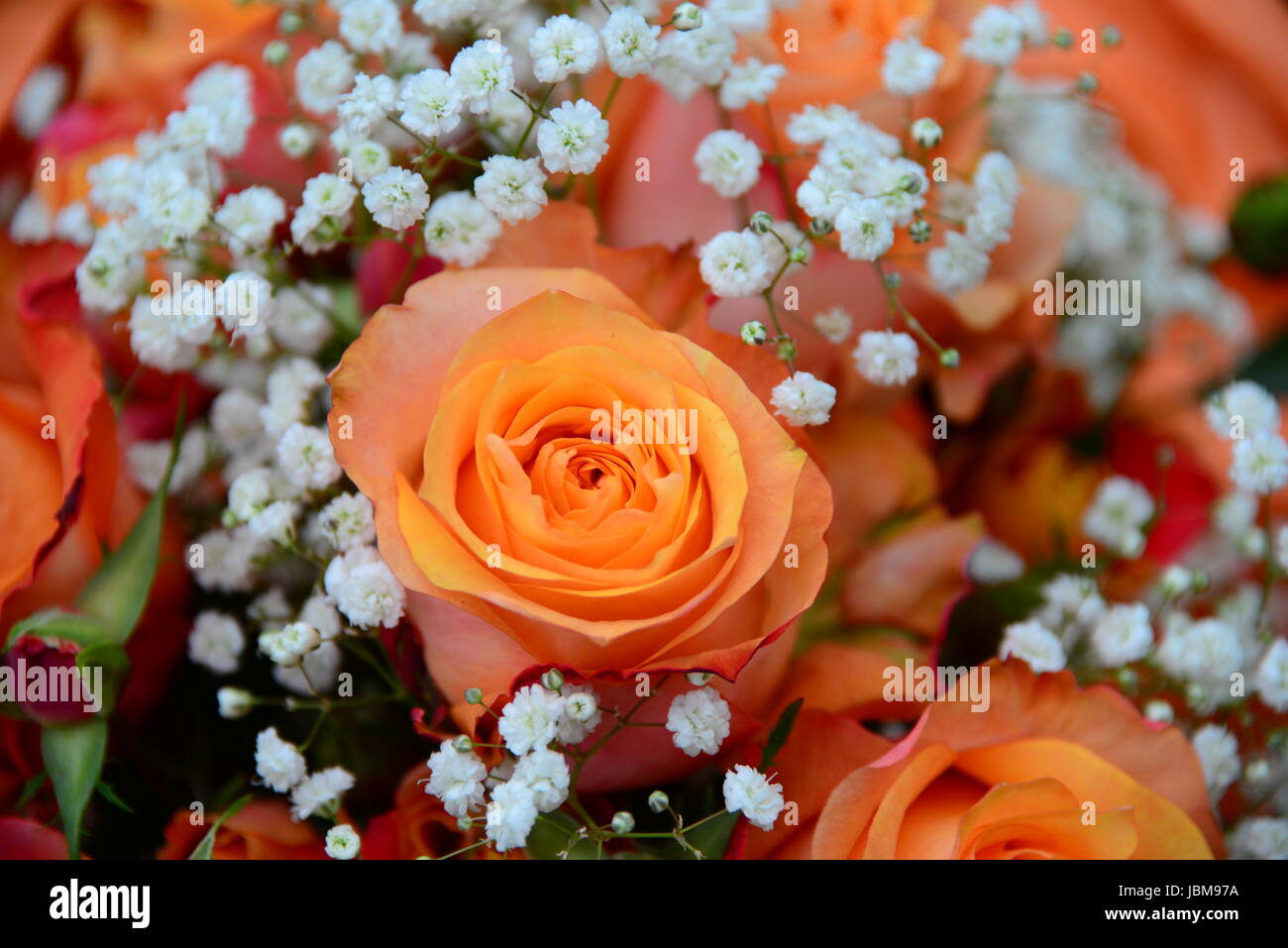 bunch of flowers Stock Photo - Alamy