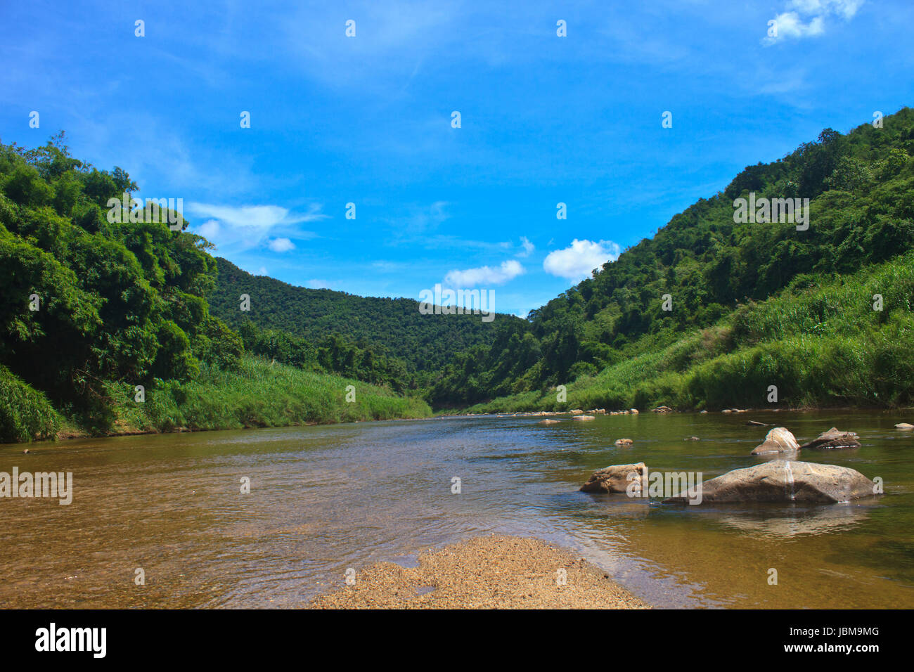 River in deep forest, river in evergreen forest in Thailand Stock Photo ...