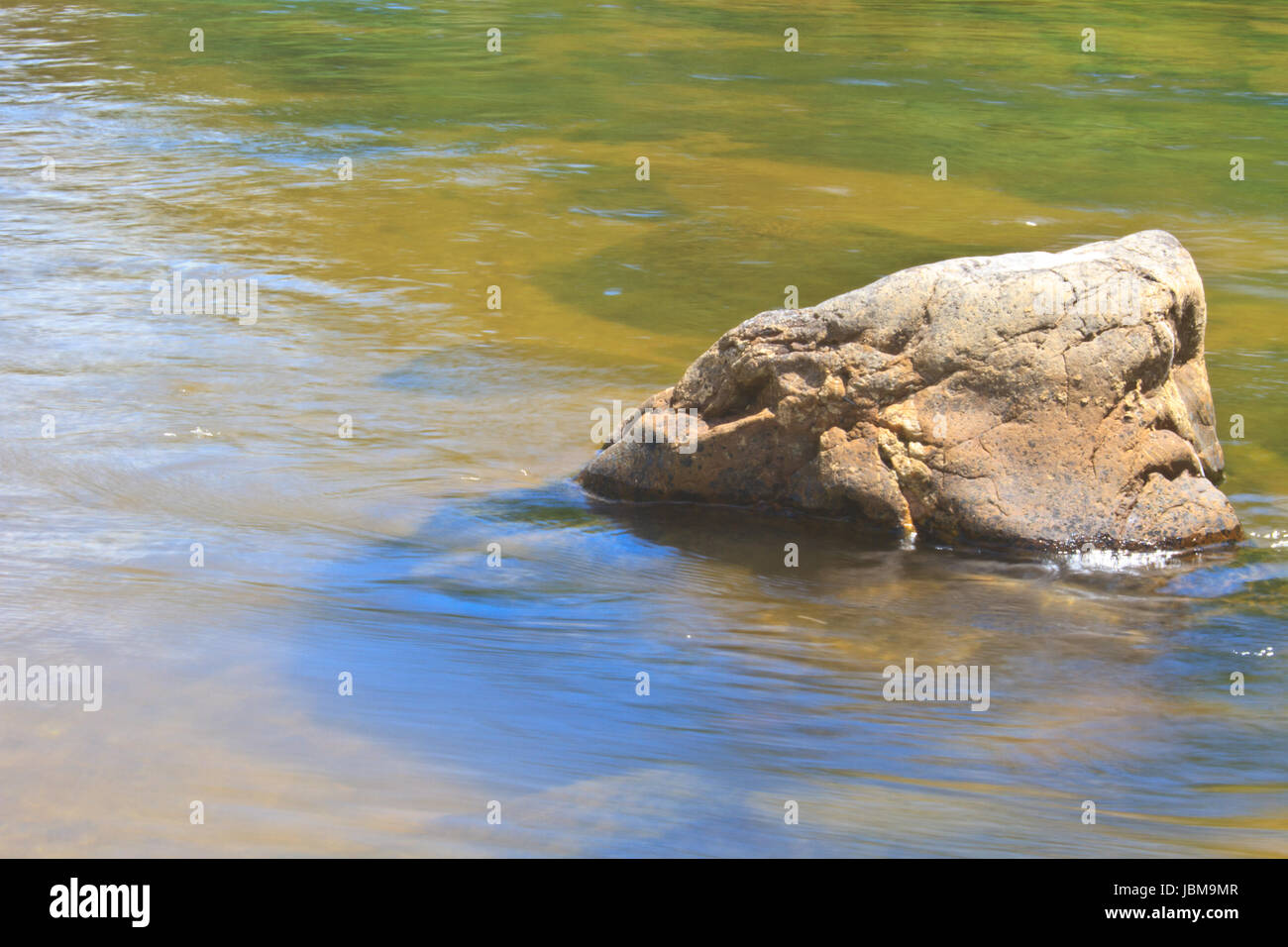 stones in river in deep forest, abstract nature background Stock Photo ...