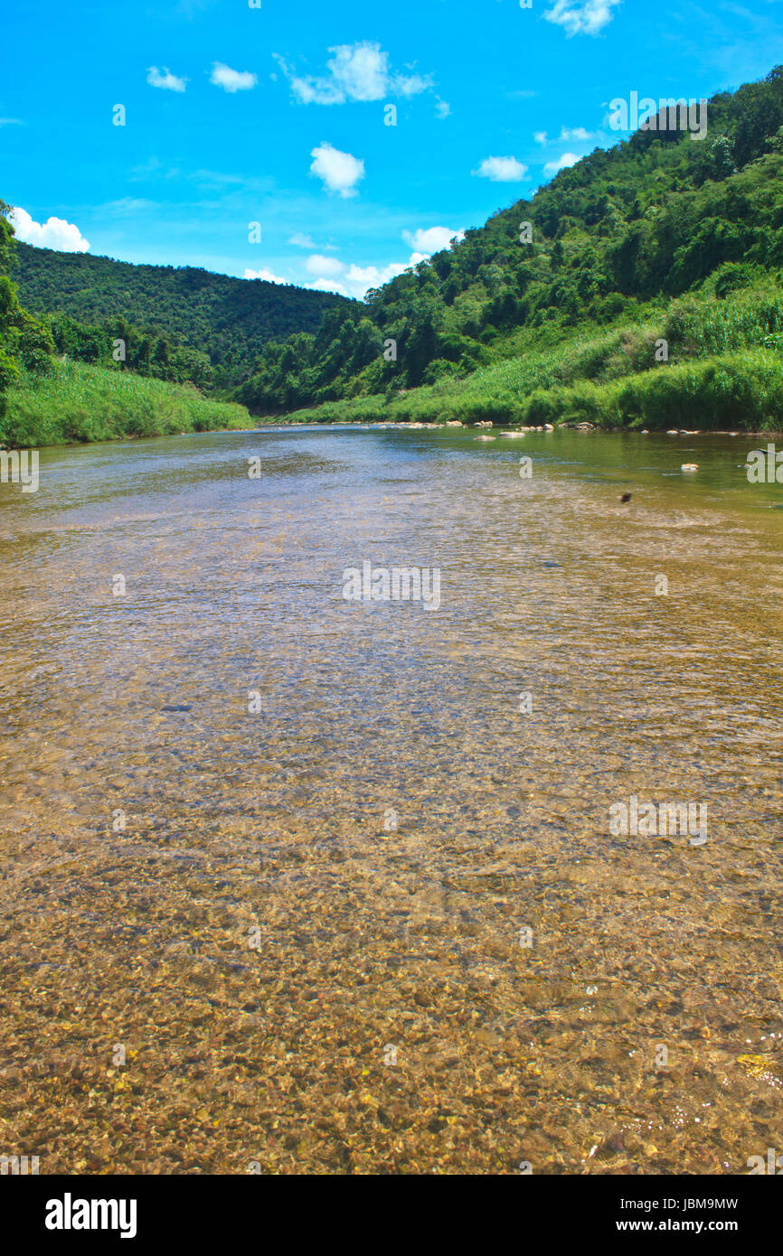 River in deep forest, river in evergreen forest in Thailand Stock Photo ...