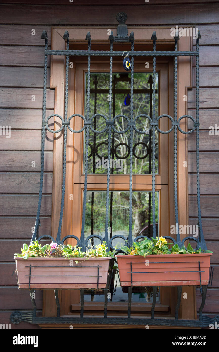 Twin window decorated with flowers.There are window guardrails for ...