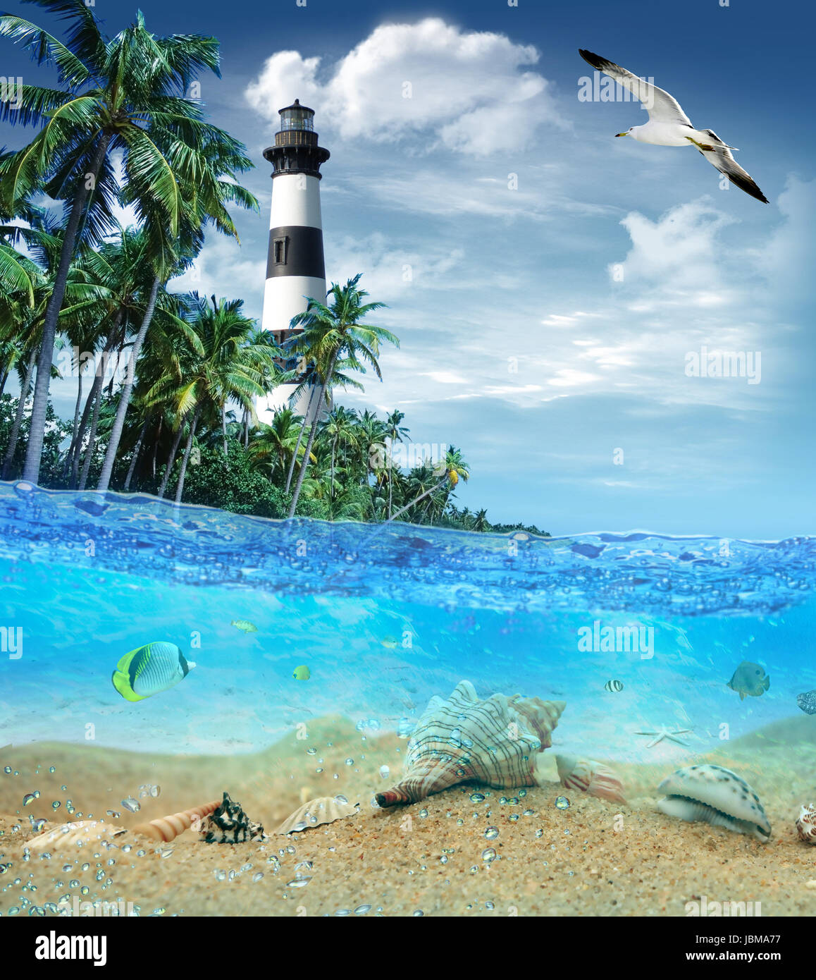 Shallow water with shells and fishes with tropical island and ...