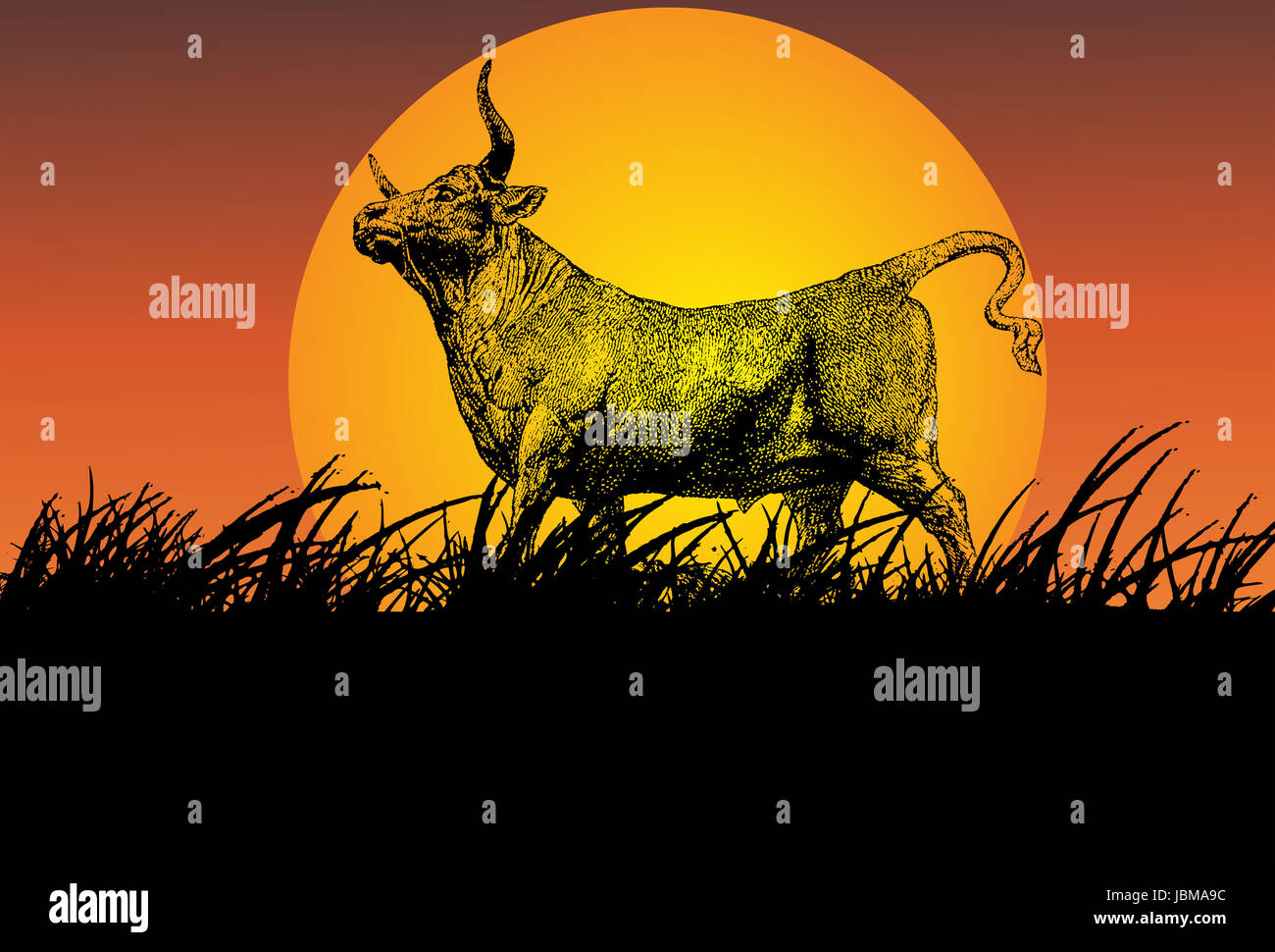 Artistic illustration of one bull in the sunset Stock Photo - Alamy