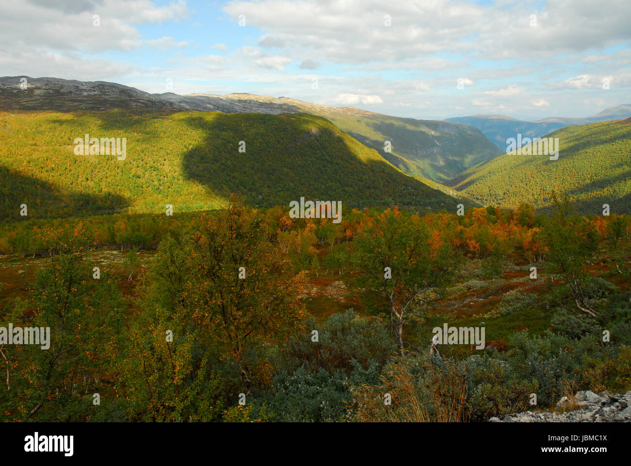 light and shade Stock Photo - Alamy