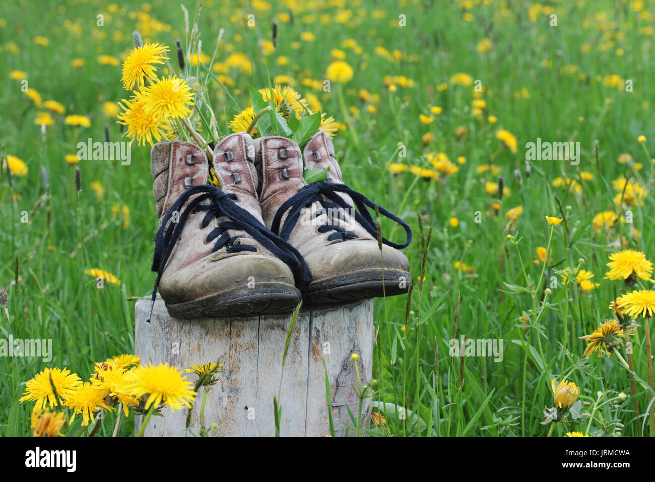 mountain sports in spring Stock Photo - Alamy