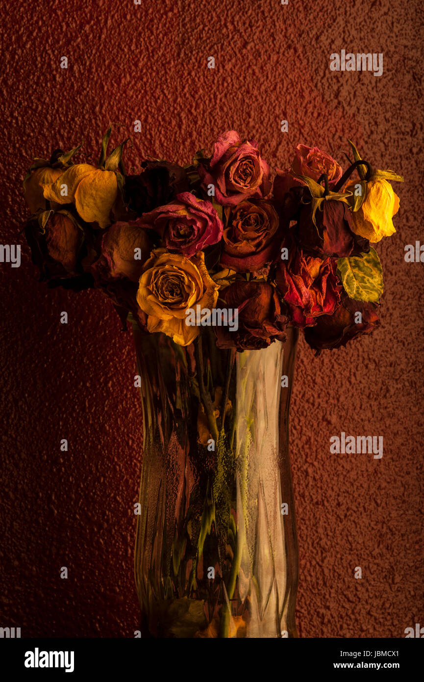 Decaying bunch of red roses hi-res stock photography and images - Alamy