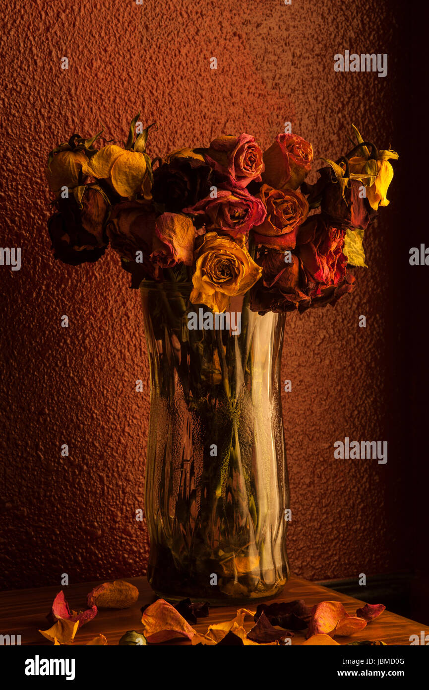 Decaying bunch of red roses hi-res stock photography and images - Alamy
