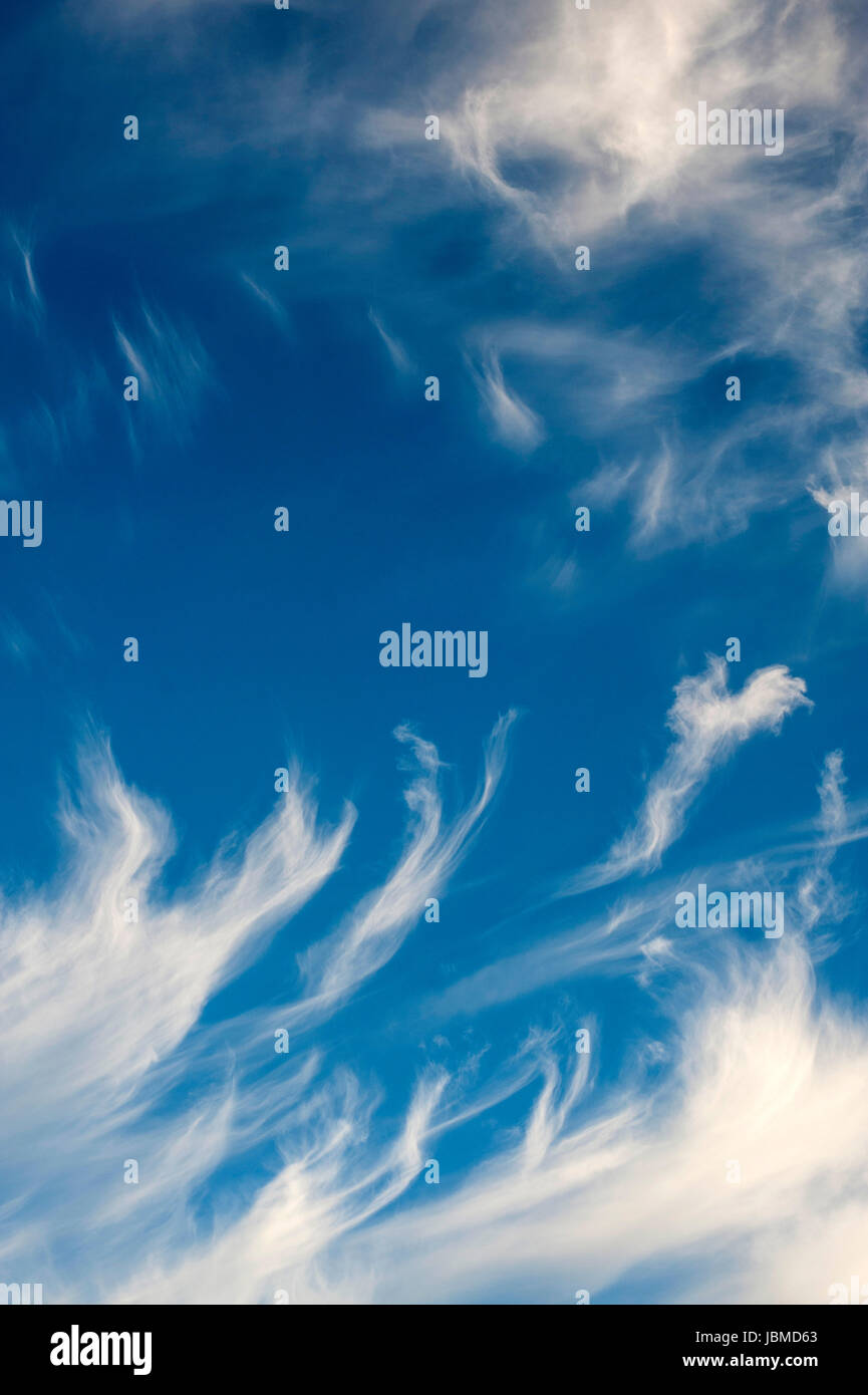 Cirrus clouds, cirrus fibratus fair weather, with cirrus uncinus Stock ...