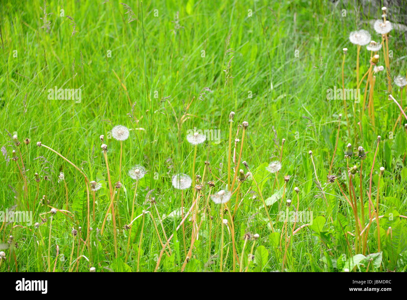 Puste hi-res stock photography and images - Alamy