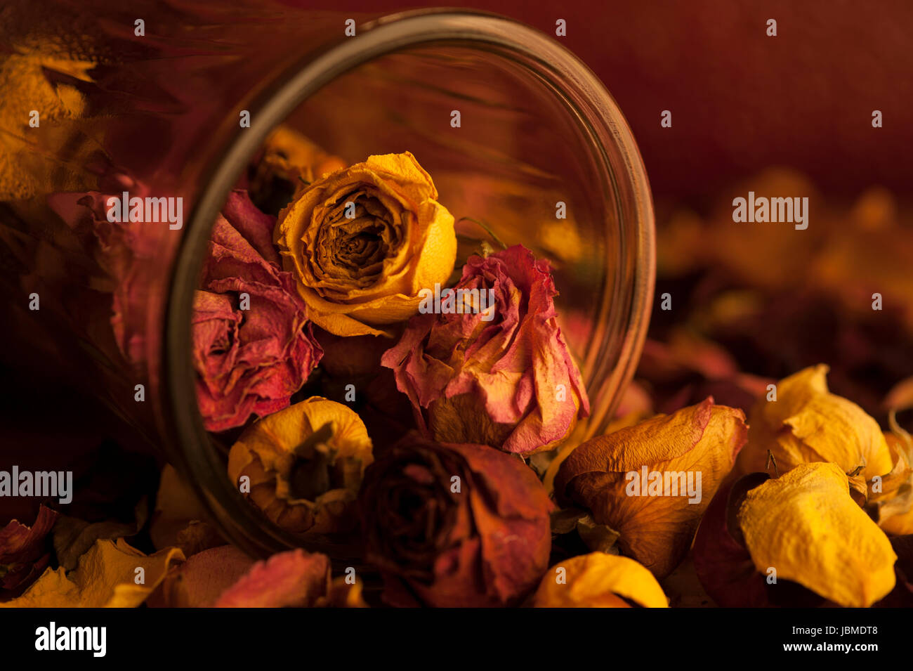 Decaying flowers hi-res stock photography and images - Alamy