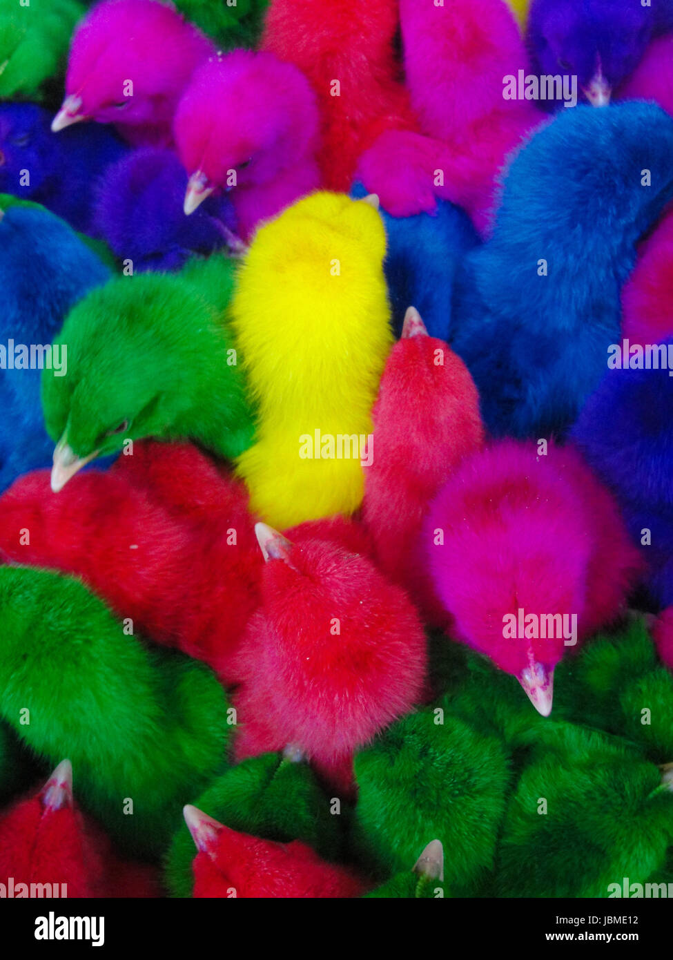 Colored chickens for sale in mexican market Stock Photo - Alamy