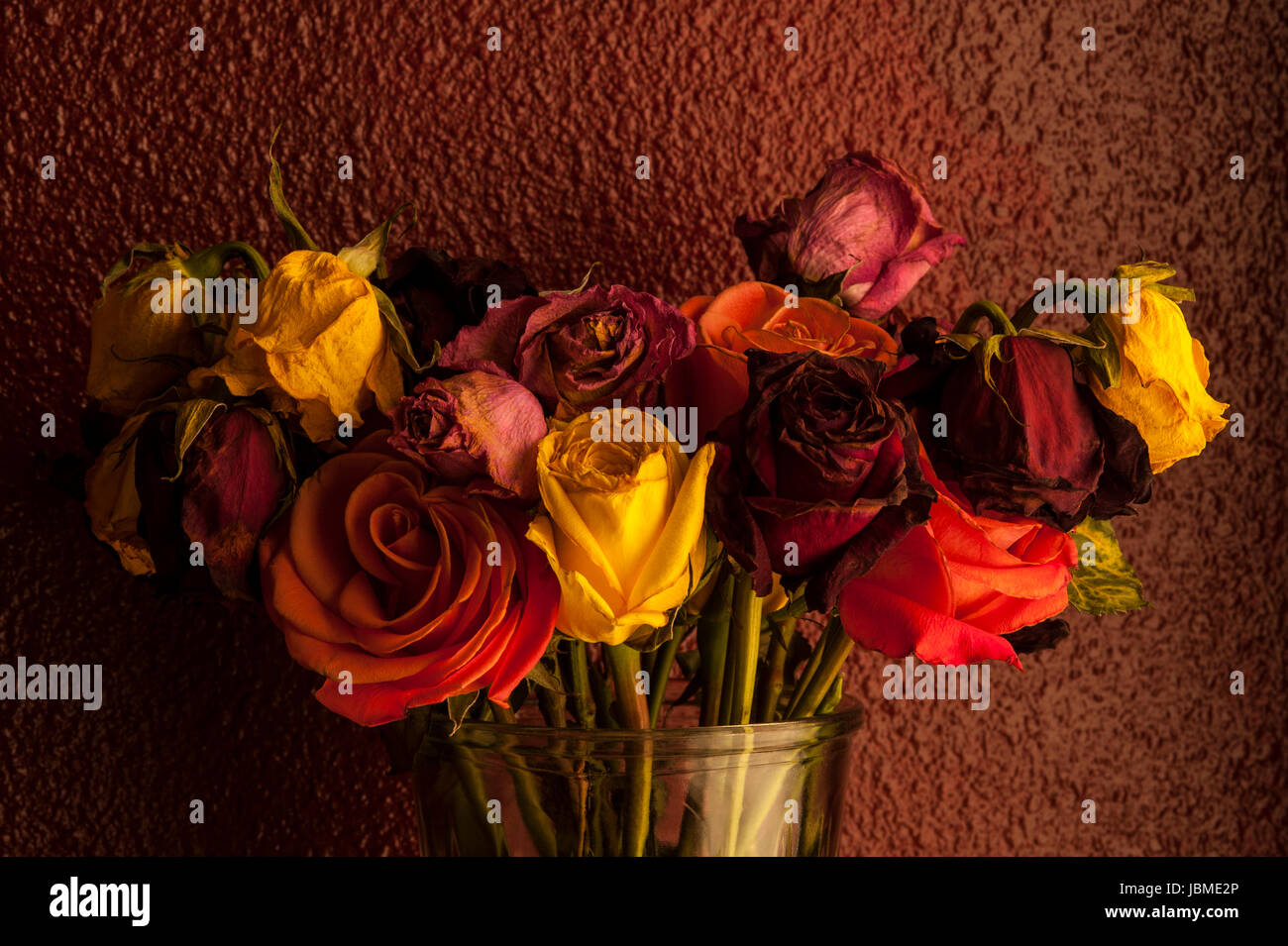 Multicolored roses wilting in glass vase with window warm window light ...