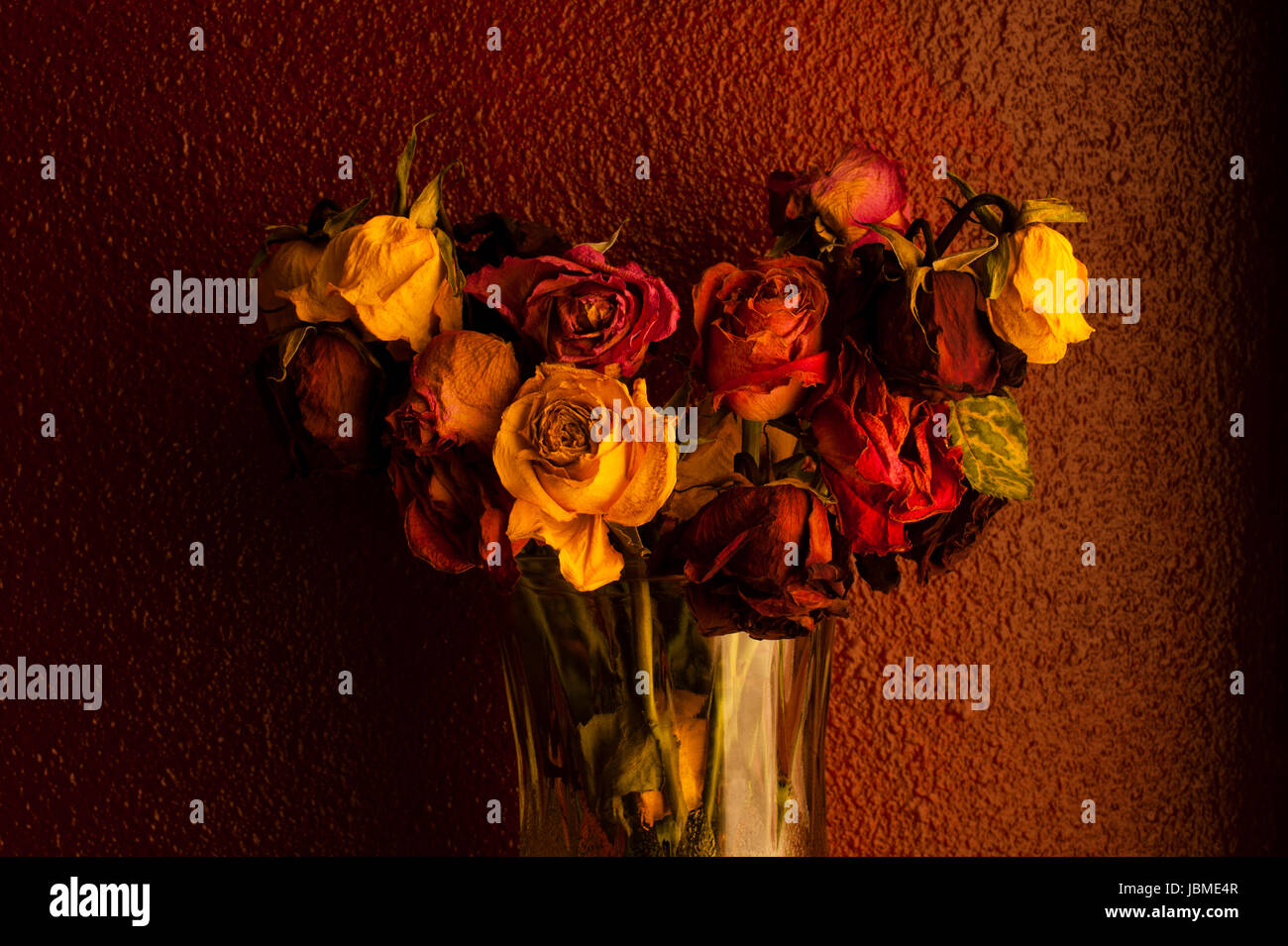 Multicolored roses wilting in glass vase with window warm window light ...